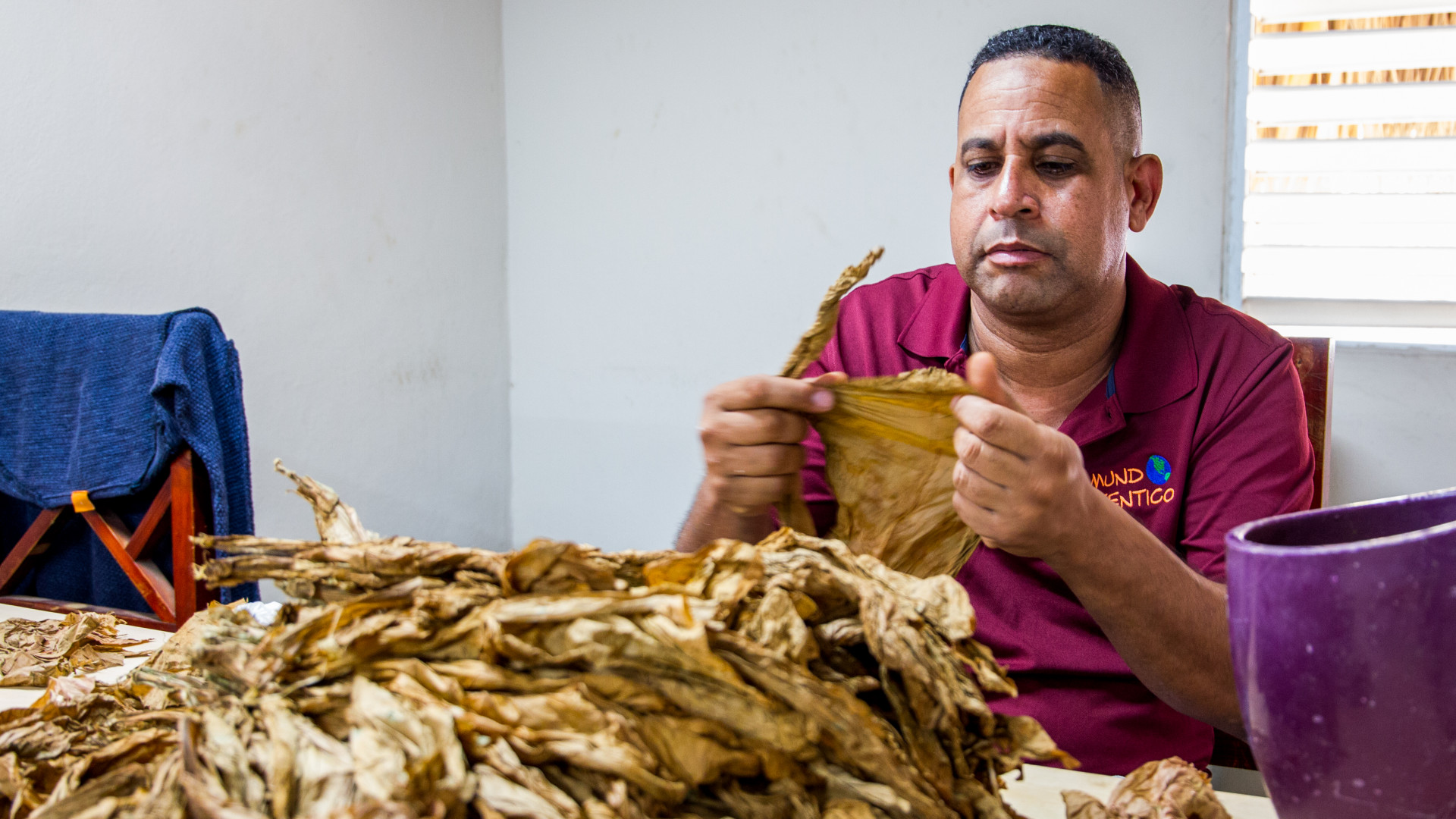 El tabaco como marca país un producto que promueve la imagen nacional ...